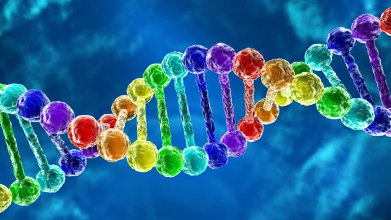 Occupations & Job Options with a Degree in Genetics » CareersLinked.com